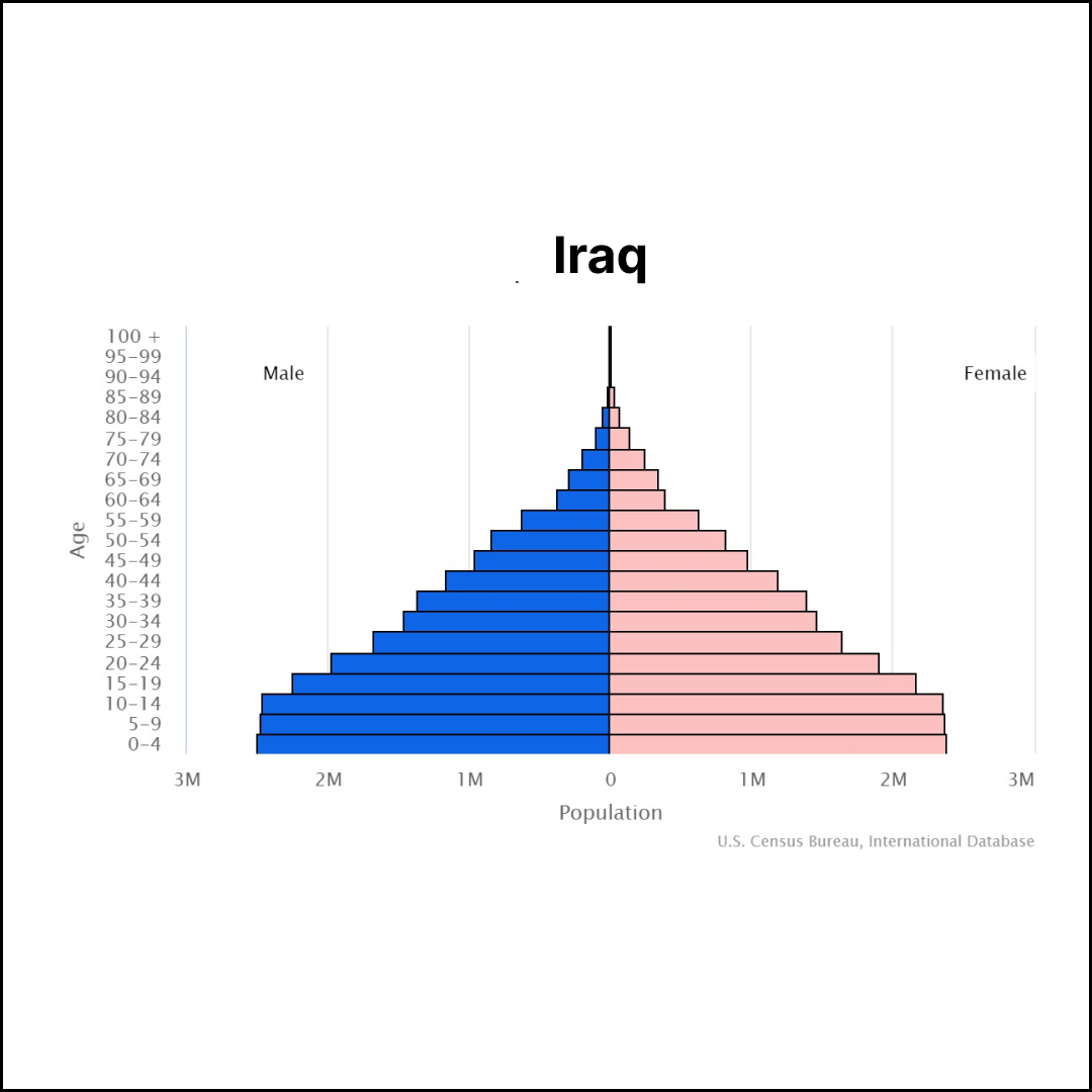 Solopreneur Iraq - TheSolopreneur.xyz