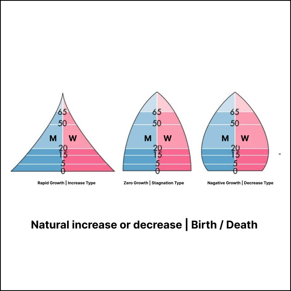 Population Pyramid | The Solopreneur - TheSolopreneur.xyz