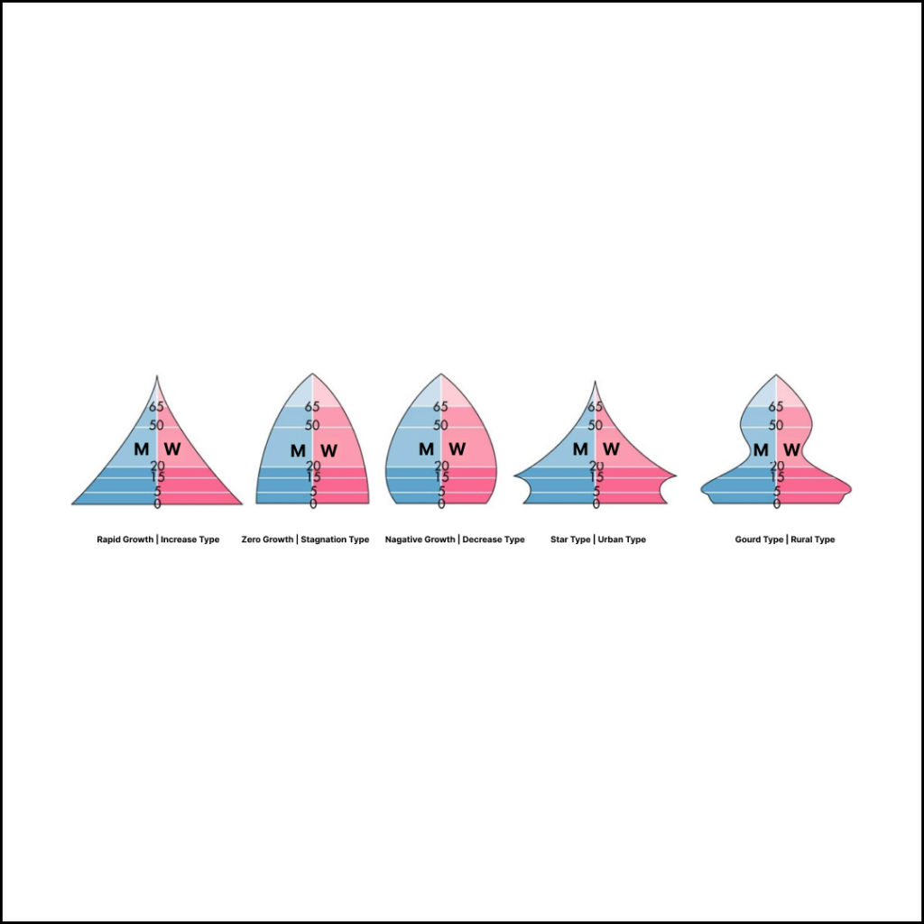 Population Pyramid | The Solopreneur - TheSolopreneur.xyz