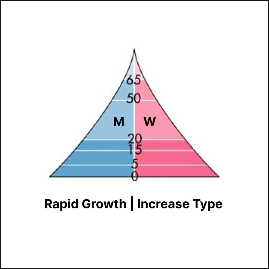 Population Pyramid | The Solopreneur - TheSolopreneur.xyz