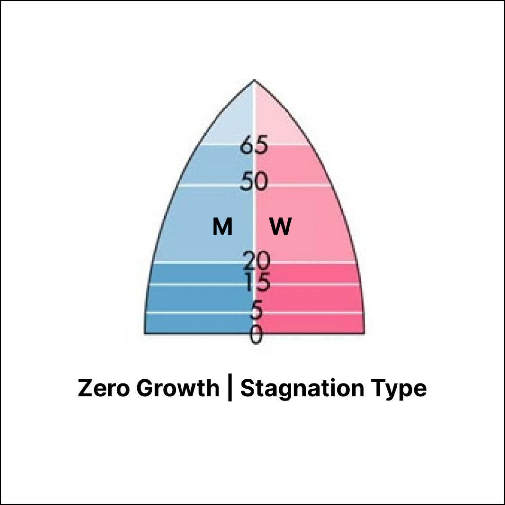 Population Pyramid | The Solopreneur - TheSolopreneur.xyz